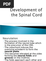Butler Neural Mobilization | PDF | Nervous System | Nerve