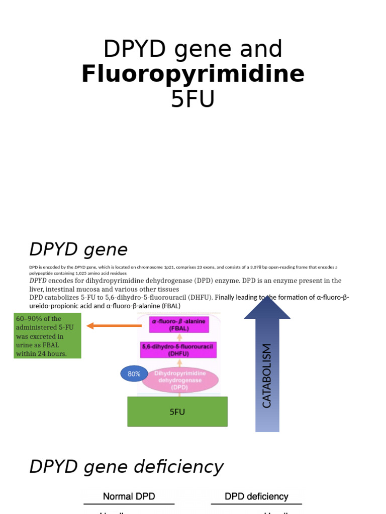 DPYD and Relevant Genes To 5FU Metabolism. 11 | PDF | Pharmacogenomics ...