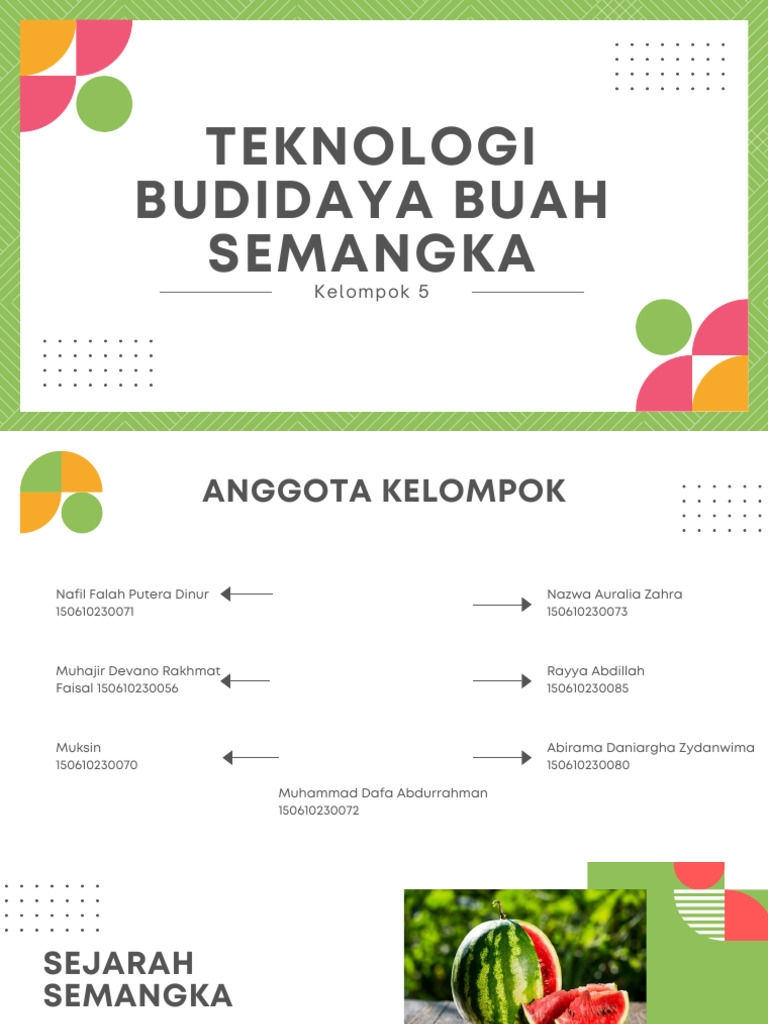 Teknologi Budidaya Buah Semangka - Kelompok 5 | PDF