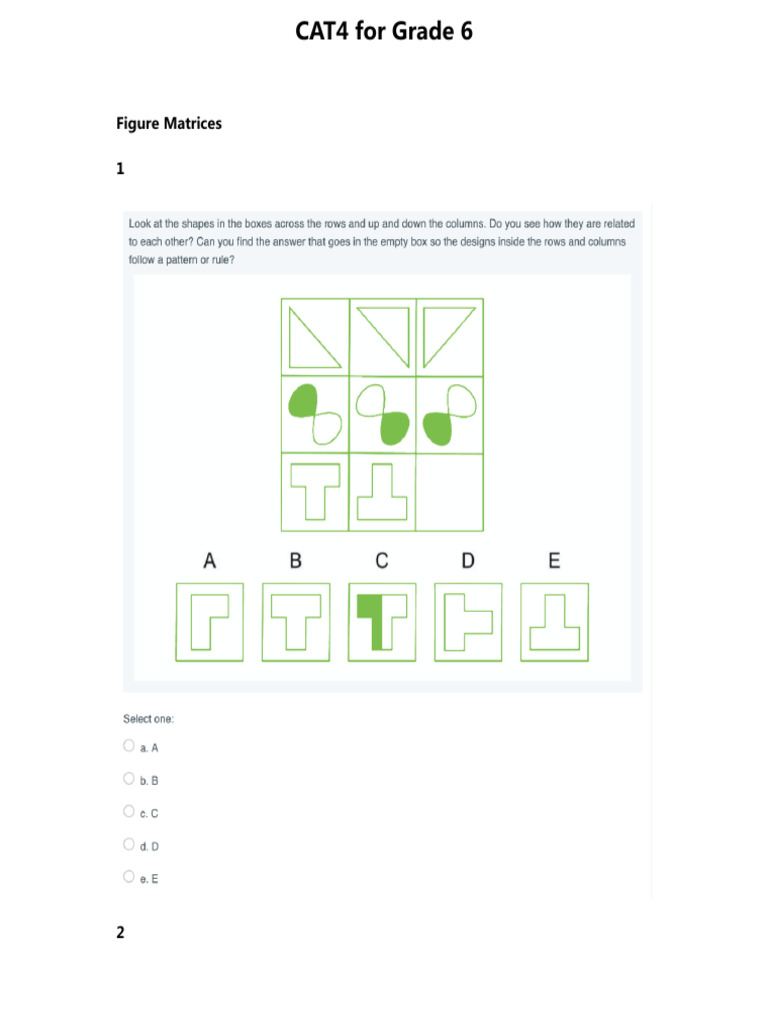 Do - CAT4 For G6-05-Figure Matrices | PDF