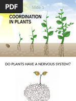 Chest X-Ray Template | PDF | Lung | Thorax