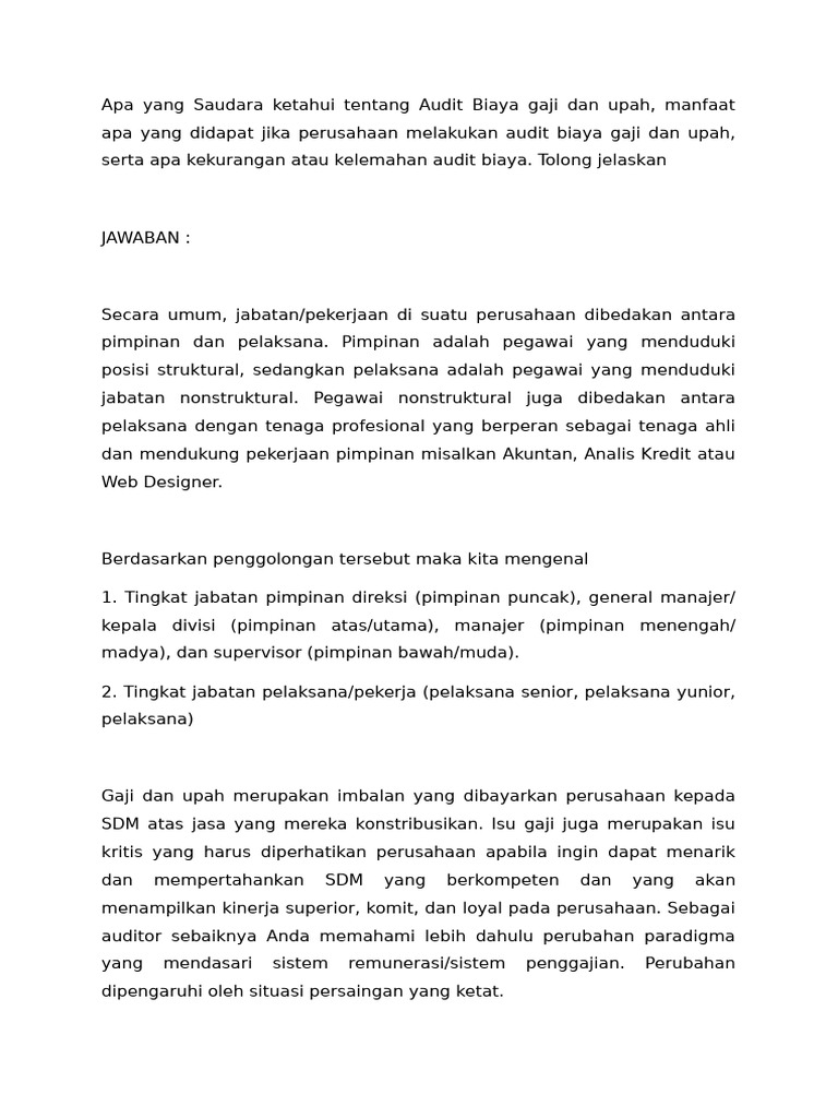 Tugas 2 (AUDIT SDM) | PDF