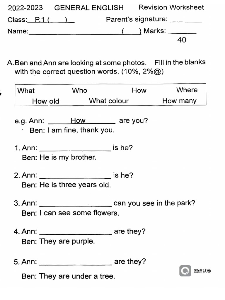 P1 GE T1 Revision Worksheets | PDF