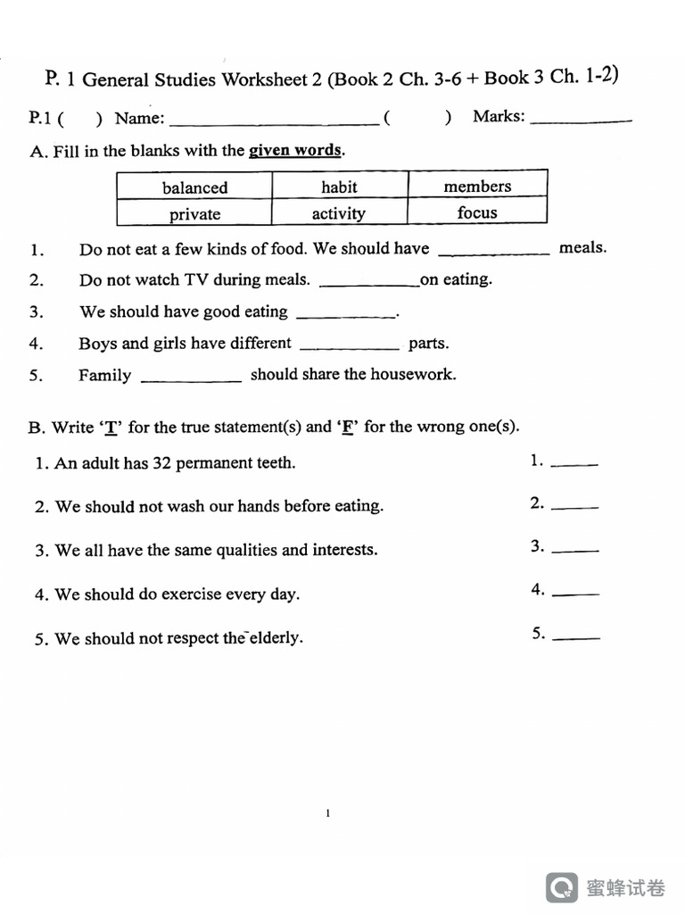 P1 General Studies Worksheet | PDF