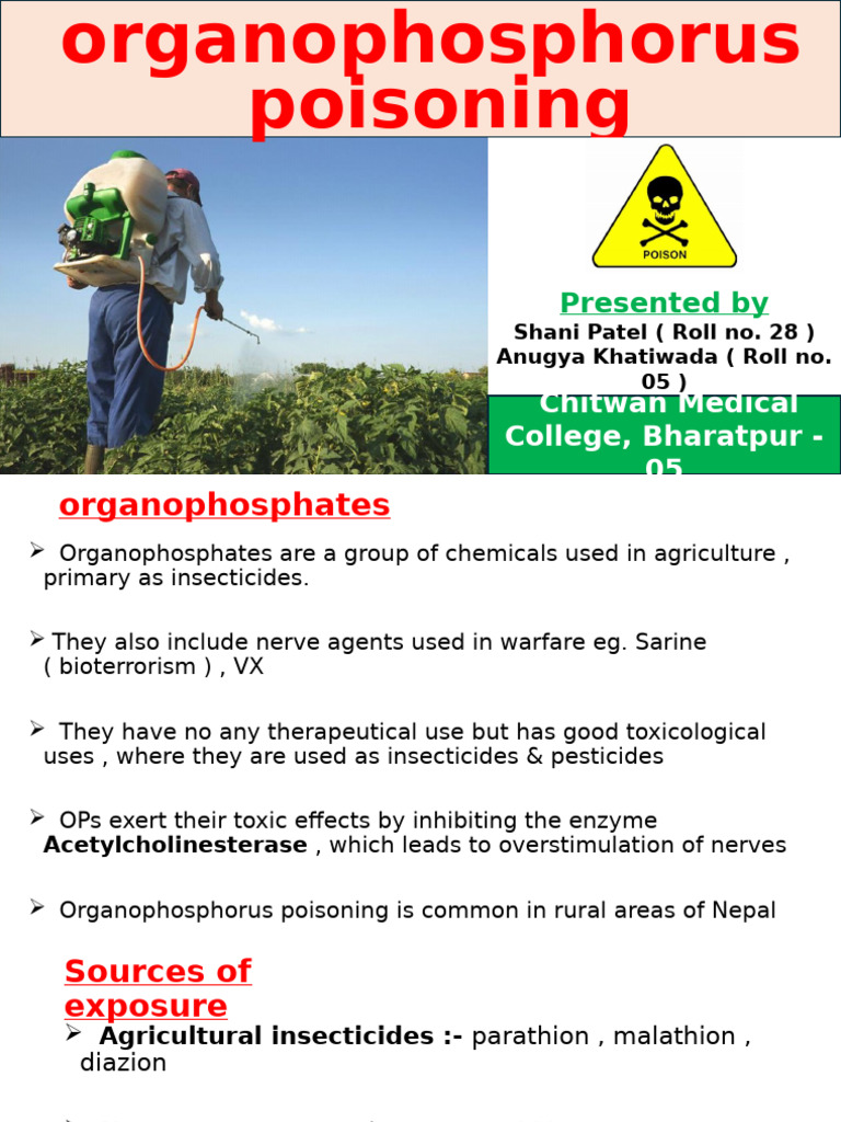Organophosphorus Poisoning | PDF | Acetylcholine | Toxicology
