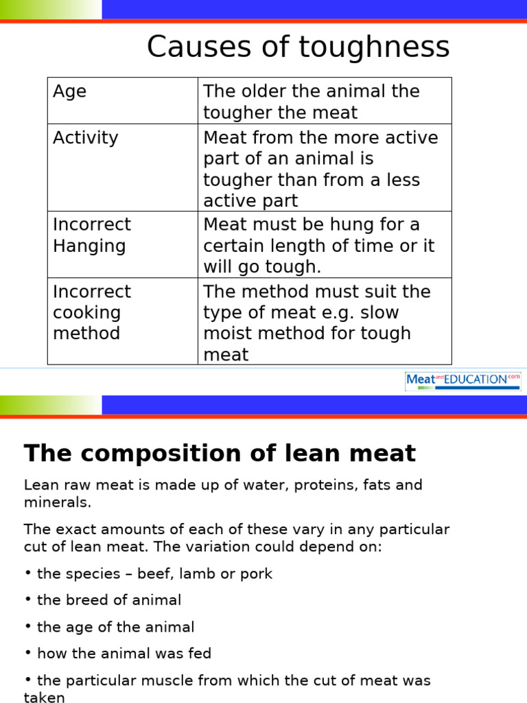 Meat Structure 7 | PDF