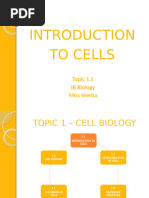 VMC - SOSE IX HRT - 1 (Question Paper) | PDF | Rational Number | Cell ...