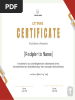 CEA Format 2024-25 | PDF