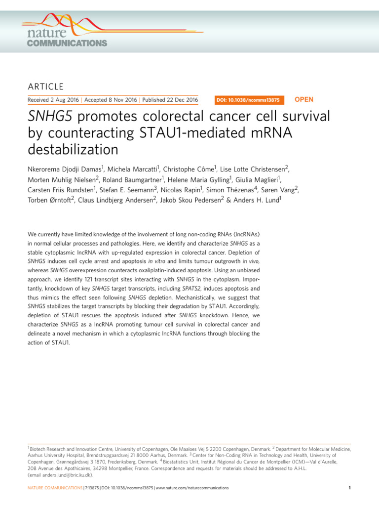 SNHG5 Promotes Colorectal Cancer Cell Survival | PDF | Messenger Rna ...