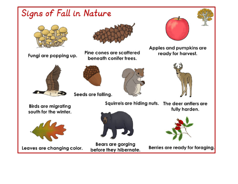 Sign of Autumn | PDF