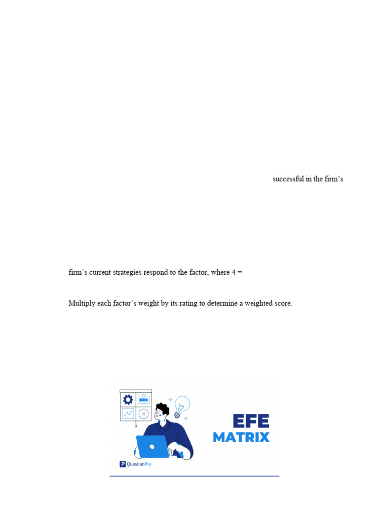 EFE Matrix Development Guide | PDF