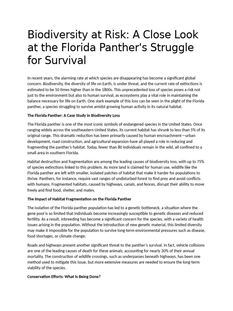 The Florida Panther | PDF | Biodiversity | Extinction