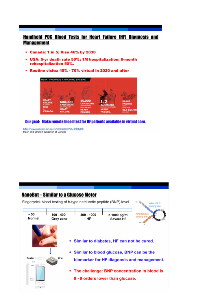 Brief Deck of Nano Diagnostic | PDF