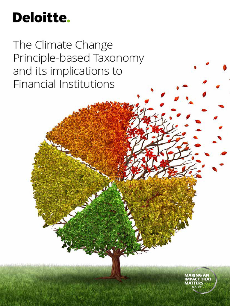 The Climate Change Principle-Based Taxonomy and Its Implications To ...