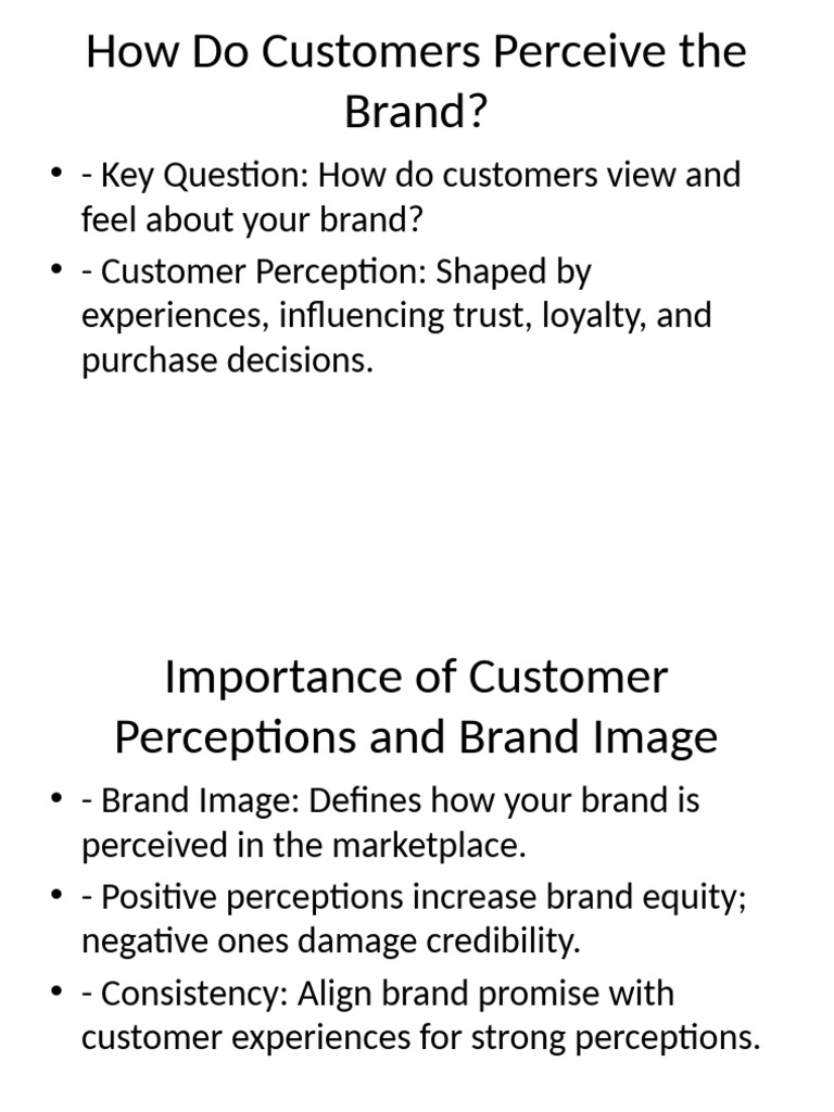 Understanding Customer Brand Perception | PDF