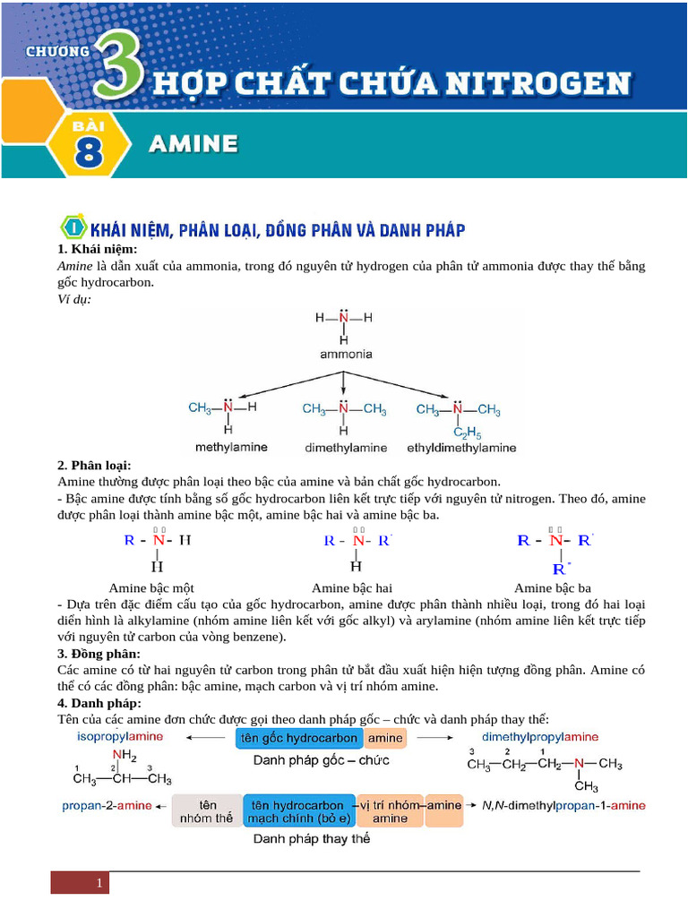 Bài 8. Amine - GV - Fix | PDF