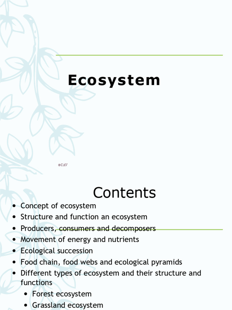 Ecosystem EVs chapter 2 | PDF | Food Web | Aquatic Ecosystem