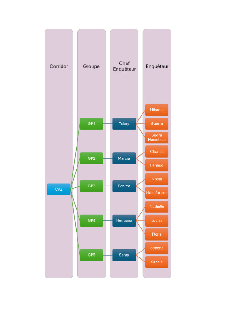 Repartition Groupe LORTA CAZ Et COFAV | PDF