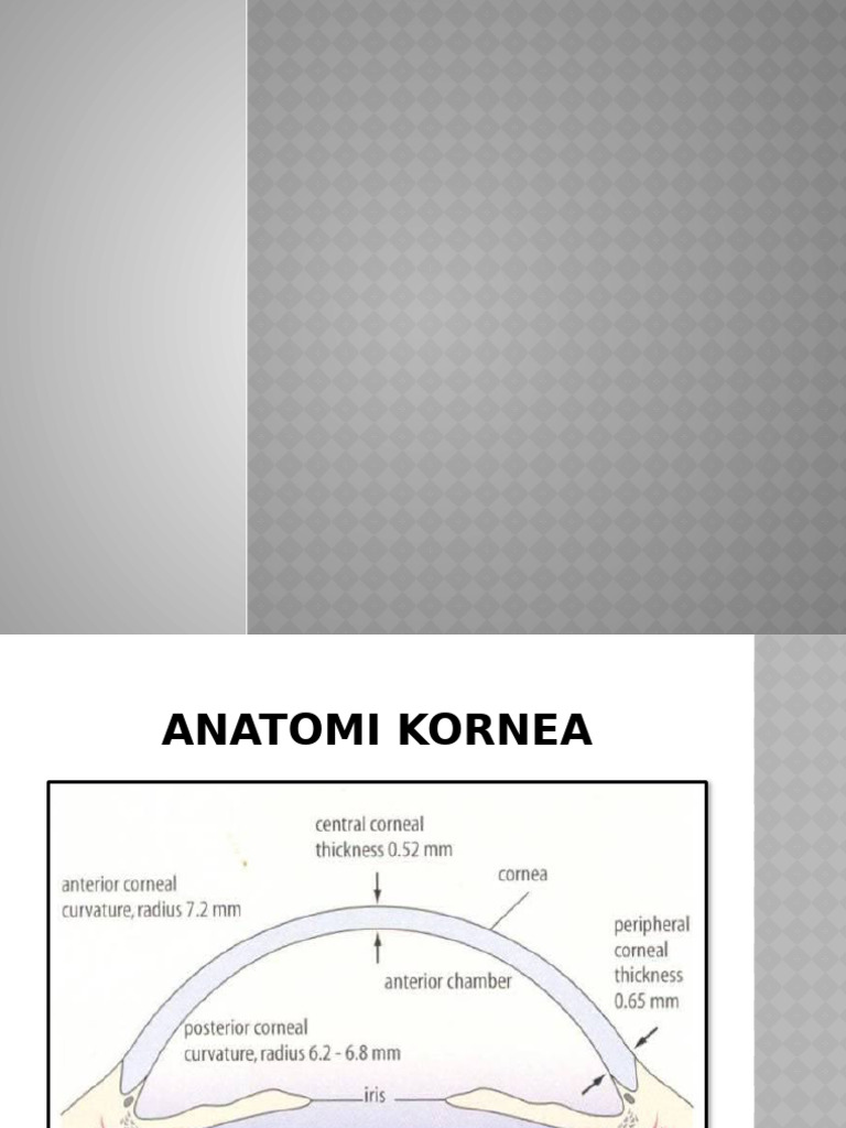 Erosi Kornea | PDF