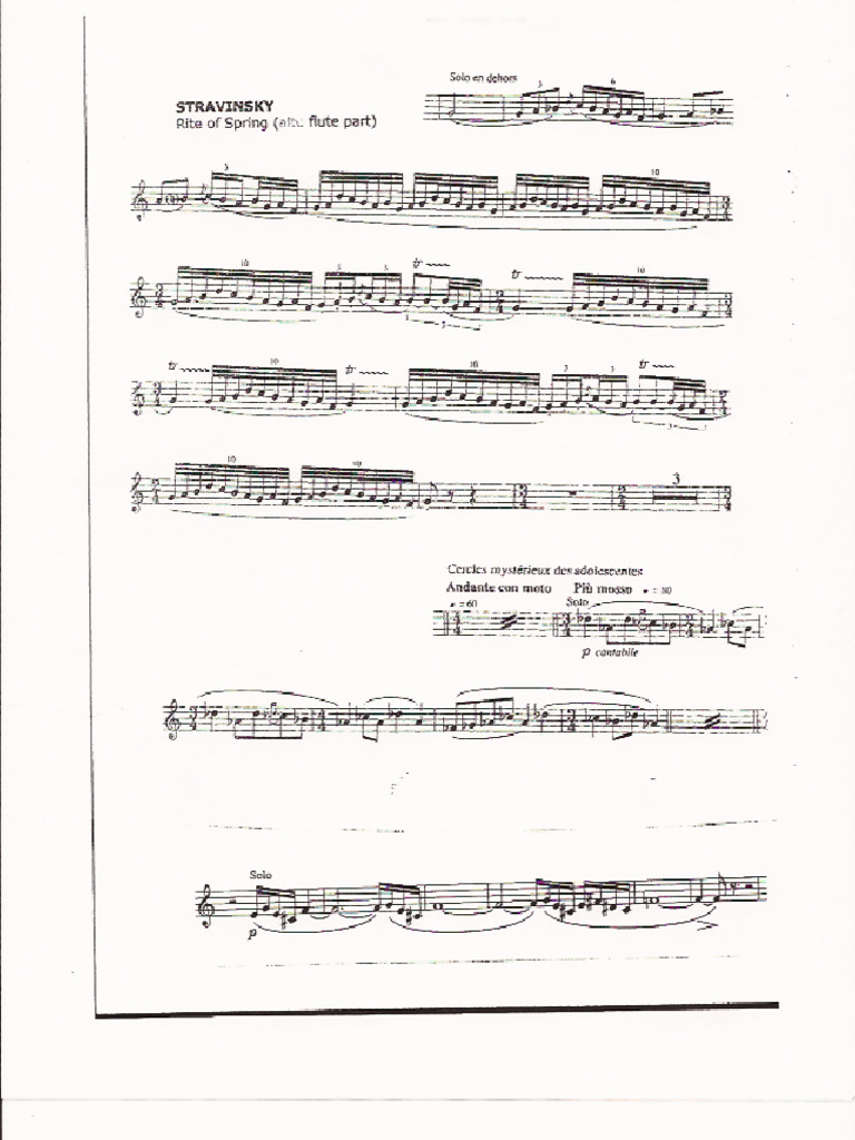 Stravinsky Rite of Spring | PDF