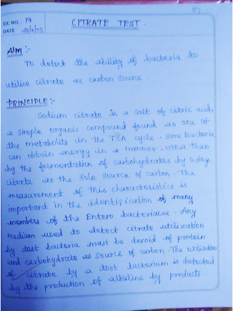Experiment. No. 17 - Citrate Test | PDF