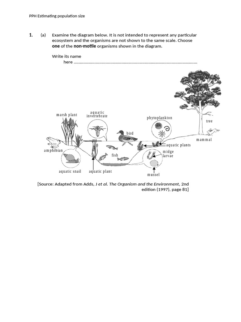 Pph Estimating Population Size Answers Pdf Ecology Natural