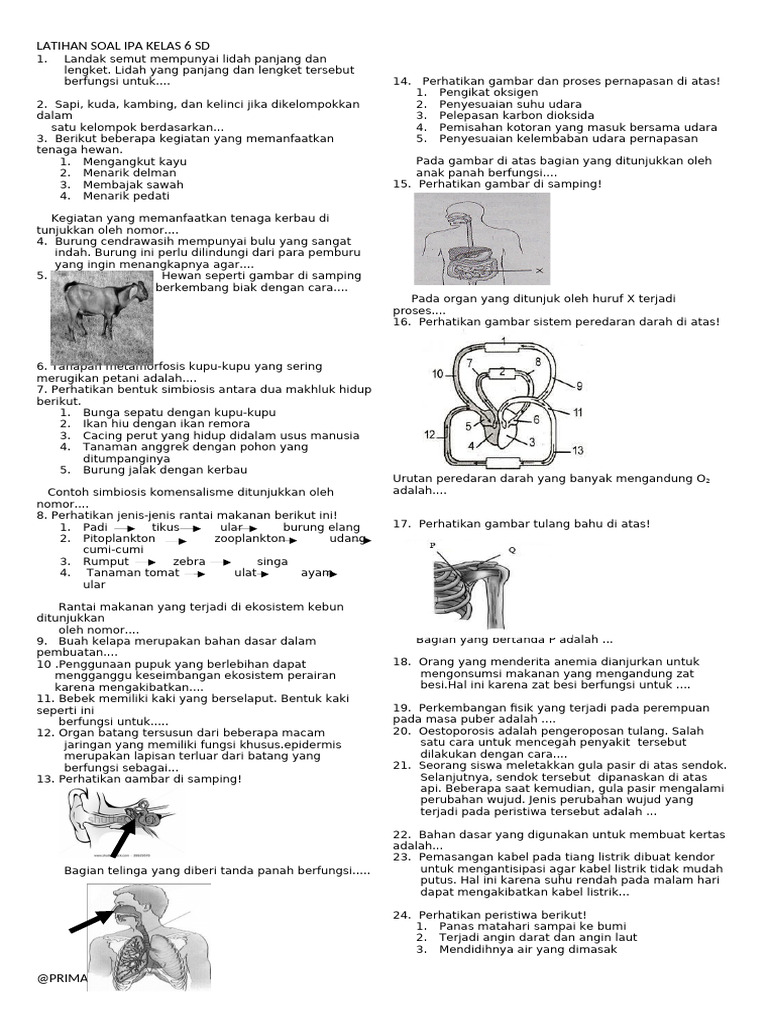 IPA PAKET 4 MGR | PDF