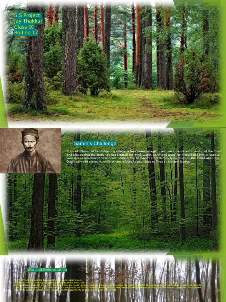 Class 9 History Ch-5 PPT P4 | PDF