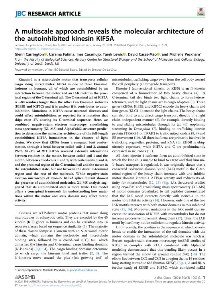 A Multiscale Approach Reveals The Molecular Architecture of The ...