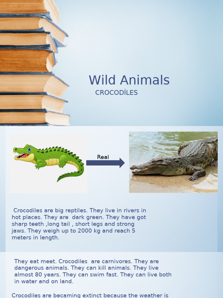 Wild Animals | PDF | Home & Garden