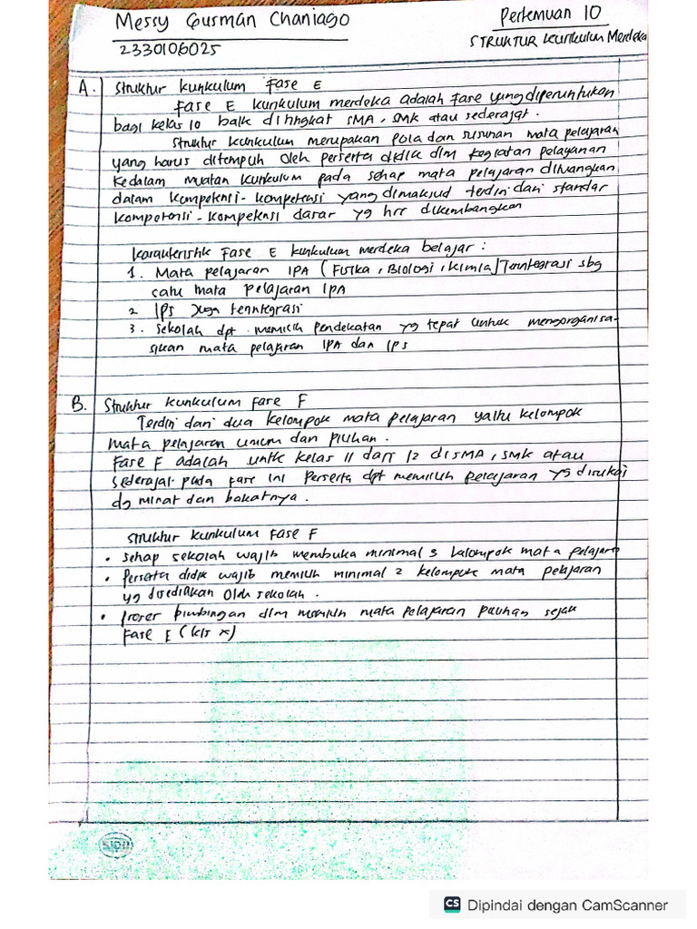 Messy - Resume 10 (Struktur Kurikulum Merdeka | PDF