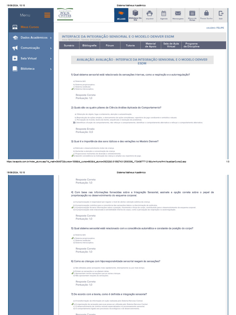 Interface Da Integração Sensorial e o Modelo Denver Esdm | PDF ...