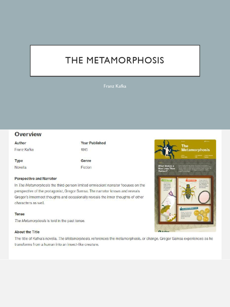 The Metamorphosis: Franz Kafka | PDF