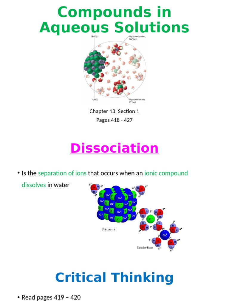 Net Ionic Equations | PDF | Cooking, Food & Wine | Home & Garden