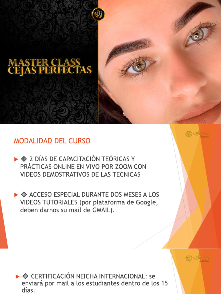Master Class Cejas Perfectas Neicha 2023 | PDF