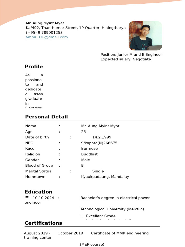 CV form (2) (1) | PDF