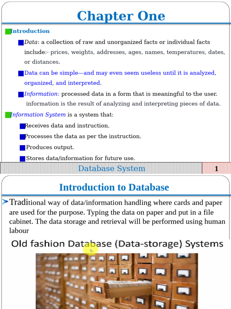 DataBase System CH - 1-5 | PDF | Databases | Relational Database
