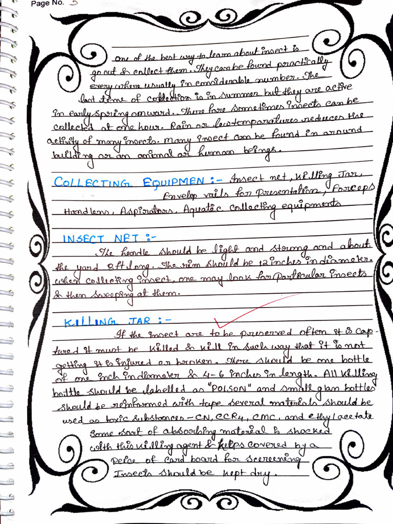 Chapter 6 Practical Er Heading | PDF