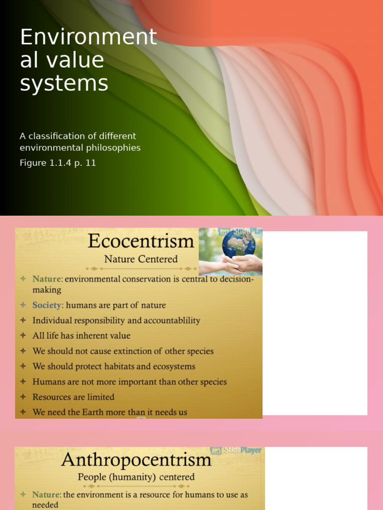 Environmental Value Systems | PDF | Wellness