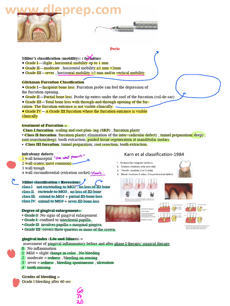 منال تصحيح سامح | PDF | Periodontology | Human Tooth