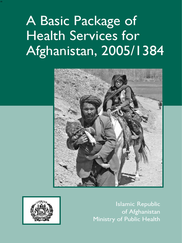 BPHS 2005 FINAL With Covers | PDF | Maternal Health | Health Professional