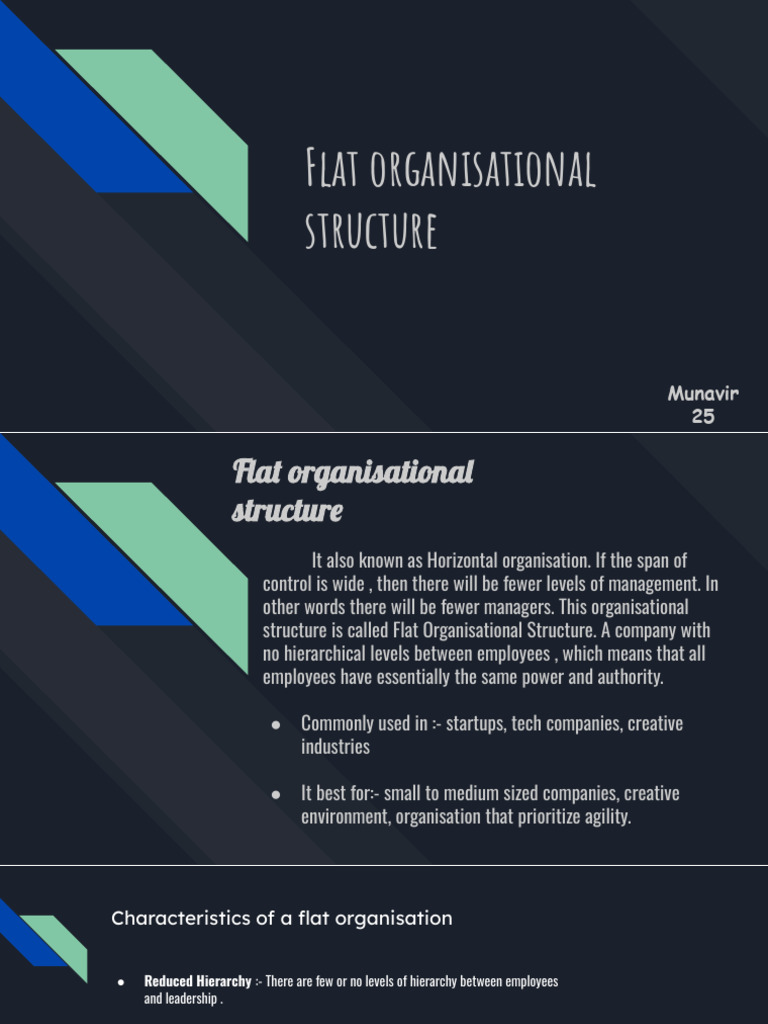 Flat Organisational Structure | PDF | Organizational Structure | Hierarchy