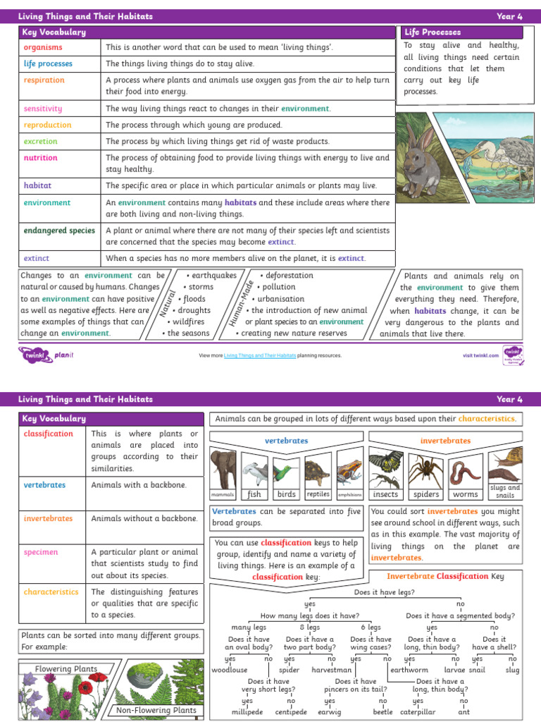 Science Knowledge Organiser Living Things and Their Habitats Year 4 ...