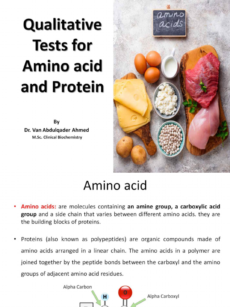 Biuret Test+Ninhydrine Test | PDF