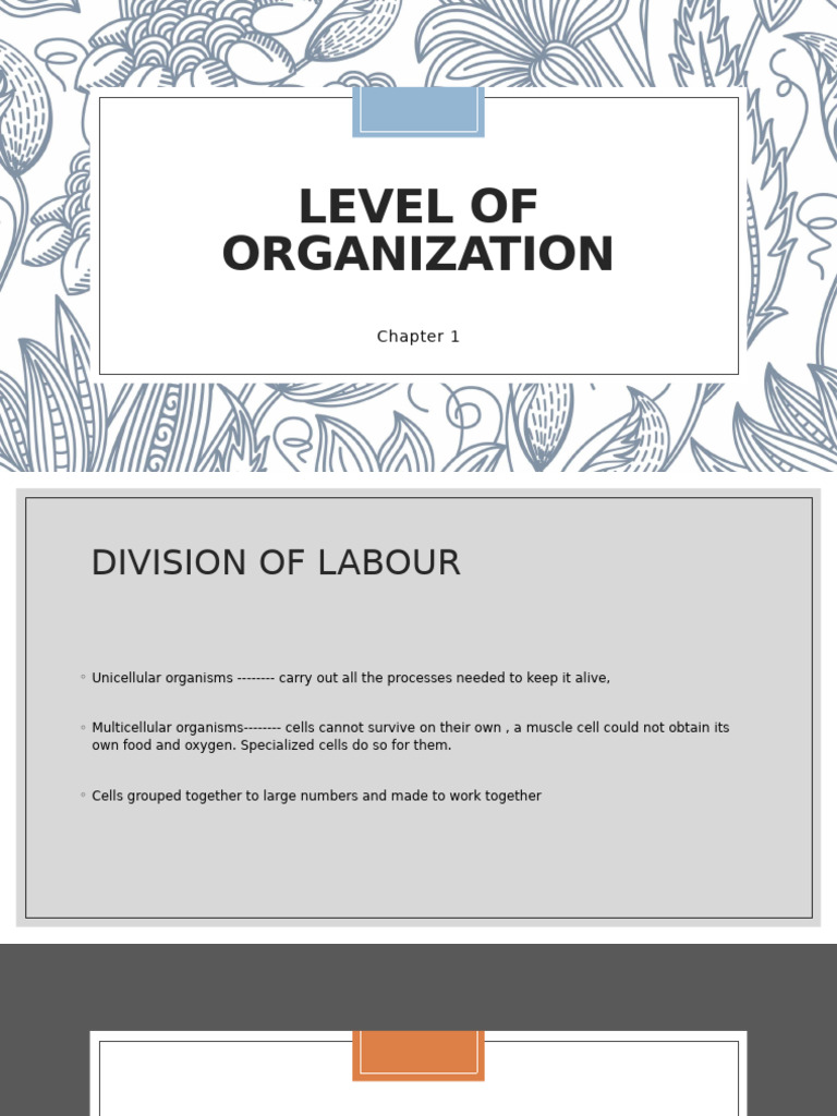 Level of Organization | PDF
