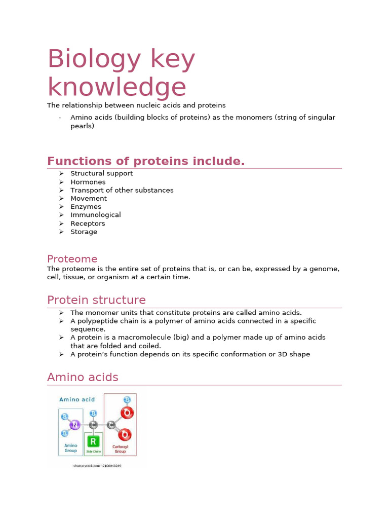 Orientation Notes Proteins | PDF