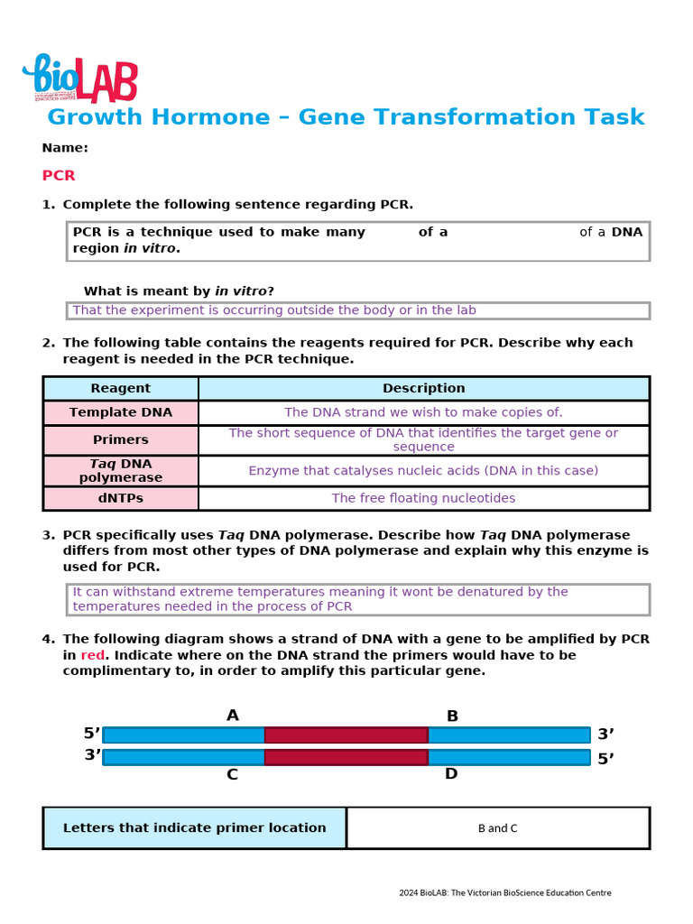 GH Cloning Prep Task 1 | PDF | Polymerase Chain Reaction | Gel Electrophoresis