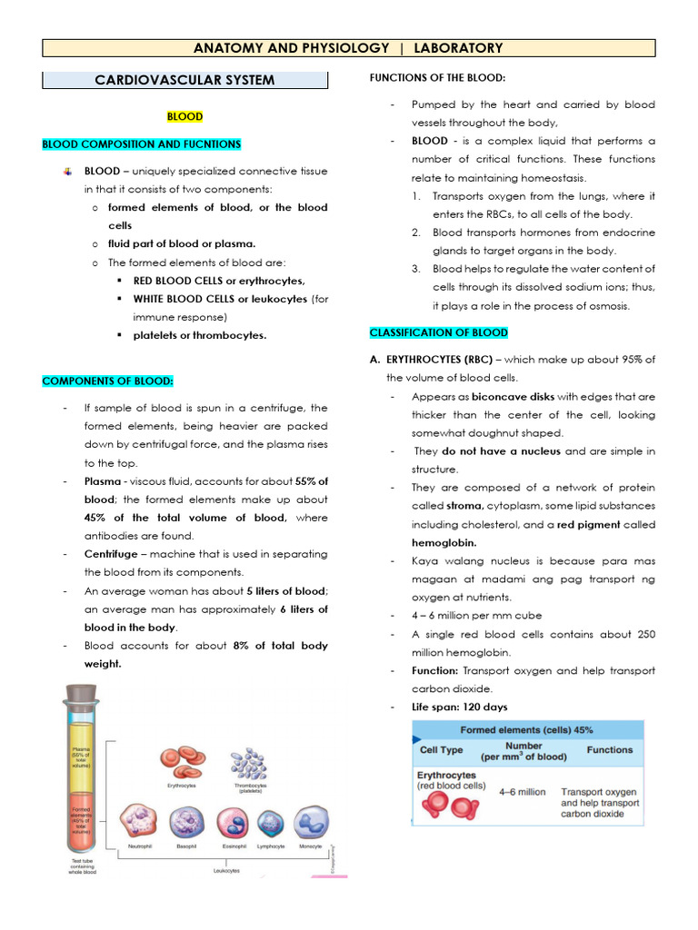 Cardiovascular System - Anaphy Lab | PDF | Heart Valve | Diastole