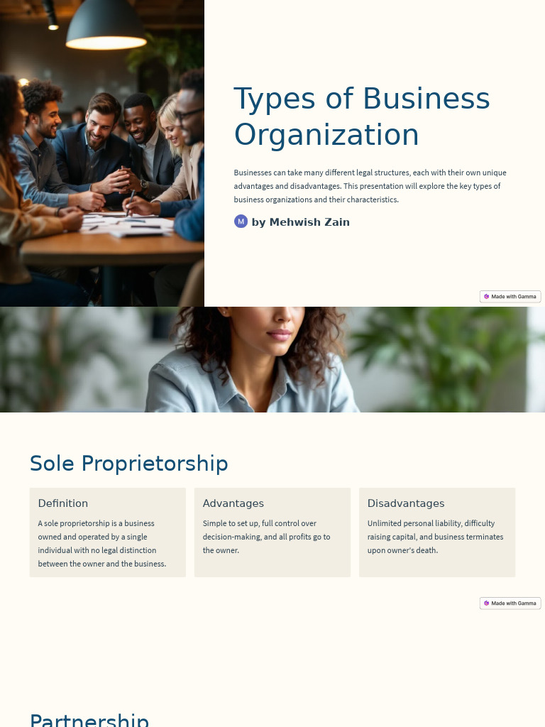 Types of Business Organizations Explained | PDF | Business | Partnership