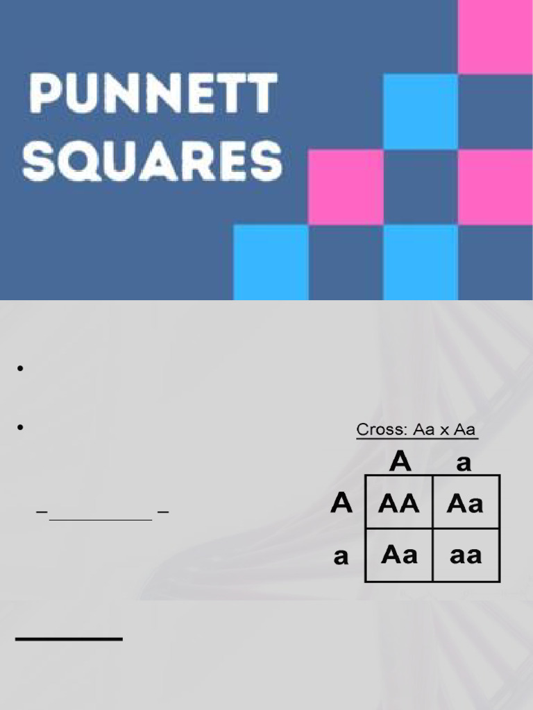 2 Punnet Square | PDF | Dominance (Genetics) | Zygosity